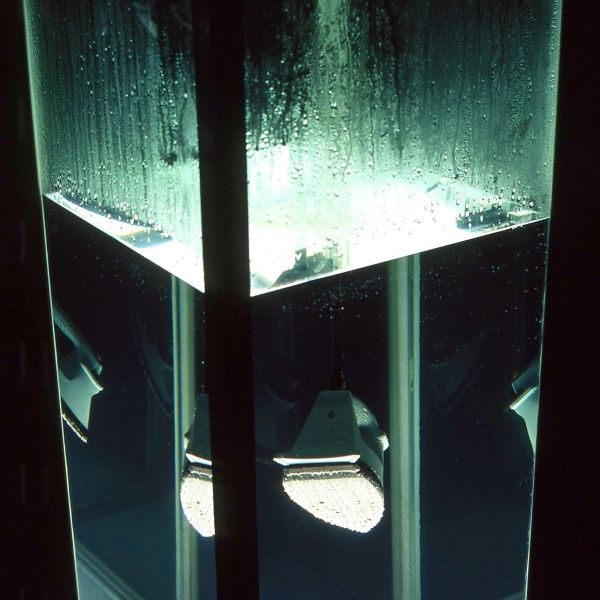 The Warm War – Chris Bell